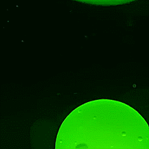 THE DAYSTAR RESEARCH FACILITY.